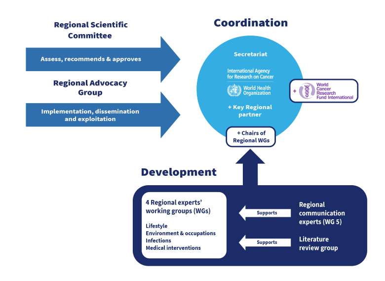 World Code Against Cancer Framework: Governance